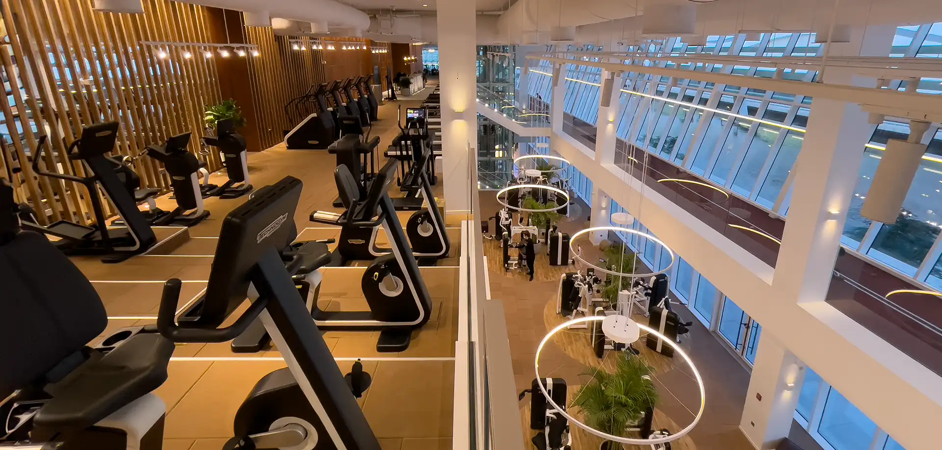 The Hub - The Bridge Wellness Hub